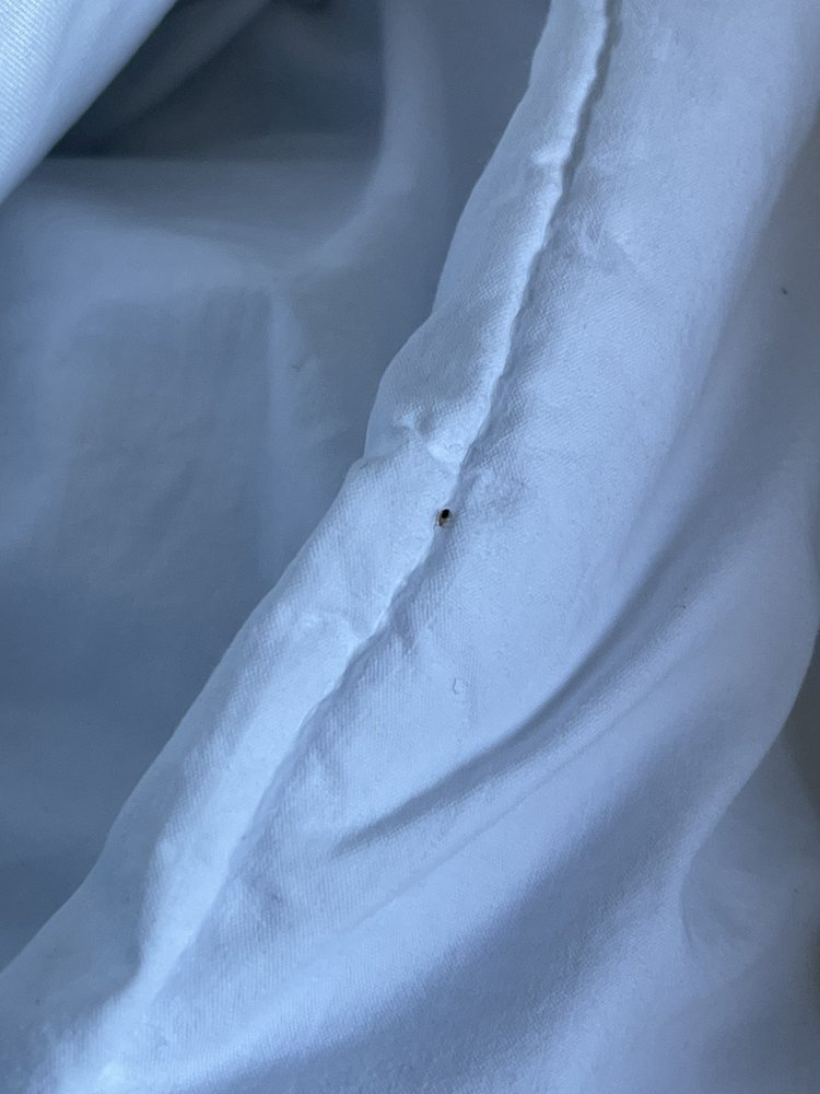 QUALITY INN & SUITES AT OLYMPIC NATIONAL PARK - Updated August 2025 ...