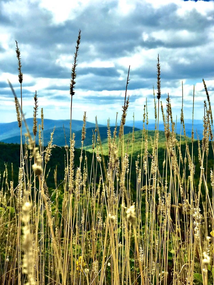 REDDISH KNOB - Updated October 2025 - 14 Photos - North River, Reddish ...