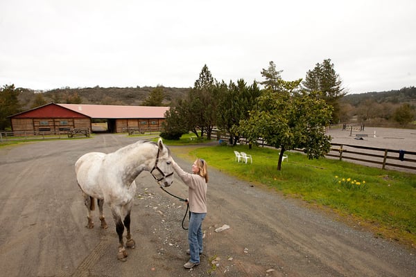 MARK WEST STABLES - Updated September 2025 - 13 Photos - 5241 Saint ...