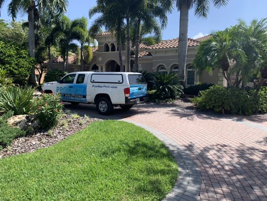 PRODIGY PEST SOLUTIONS - Updated December 2025 - 19 Photos & 44 Reviews ...