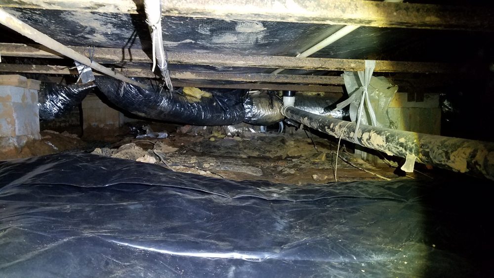 BUG HOUSE PEST CONTROL - Updated September 2025 - 11 Reviews - 1511 N ...