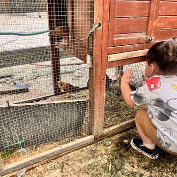 HAPPI FARM - Updated May 2024 - 347 Photos & 116 Reviews - 10251 Orange ...