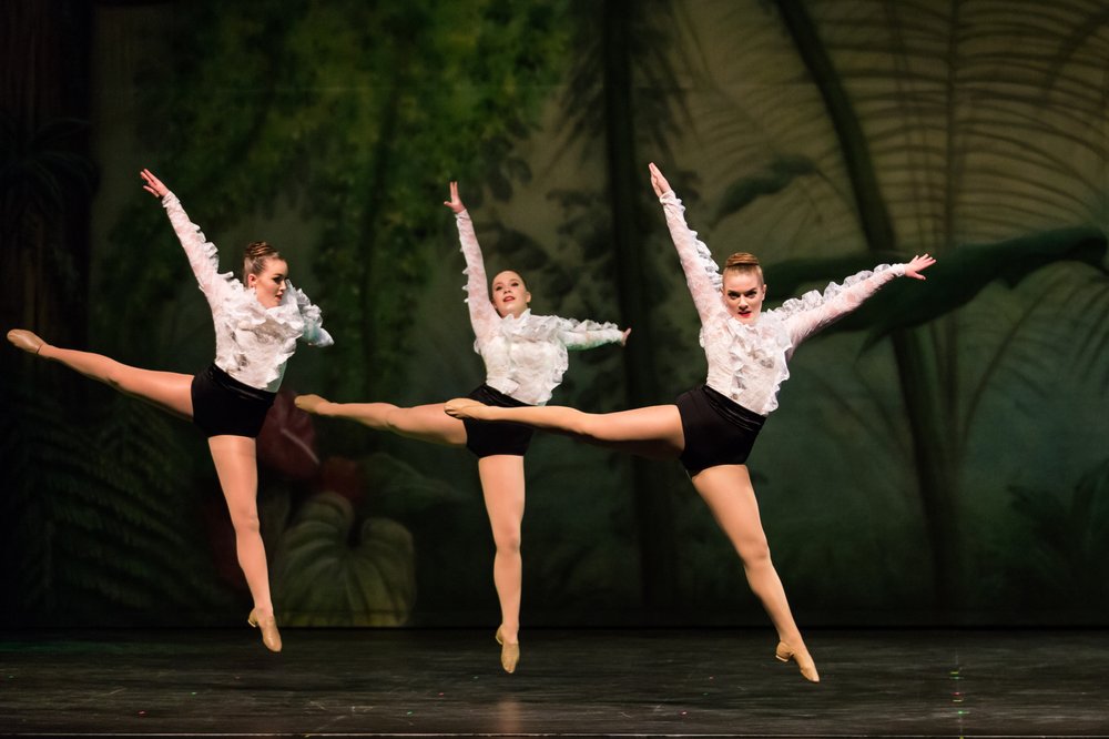 EVOLUTION DANCE - Updated November 2024 - 41 Photos - 1210 Bay St ...