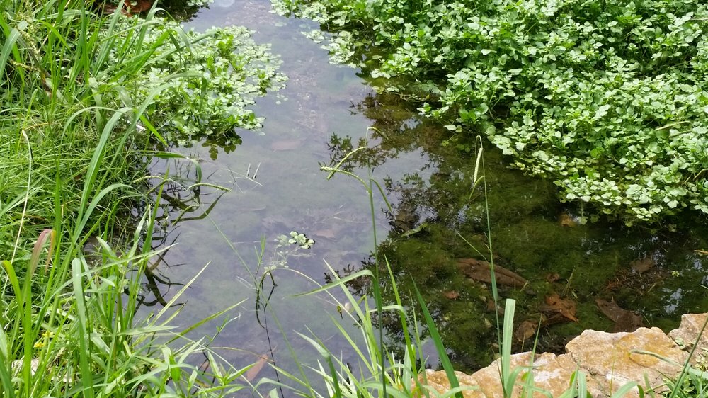 PARMER PARK - Updated January 2026 - 33 Photos - 578 Leake Ave, Belle ...