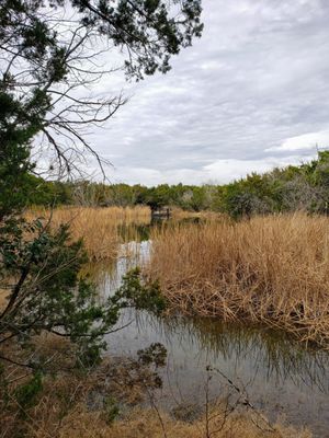 SPRING LAKE NATURAL AREA - Updated September 2024 - 34 Photos - 685 ...