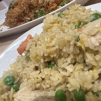 BAMBOO - Updated October 2024 - 458 Photos & 239 Reviews - 45000 ...