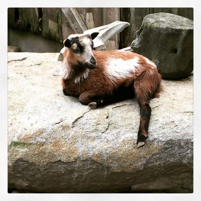 DEW HAVEN - Updated March 2025 - 79 Photos & 20 Reviews - 918 Pond Rd ...