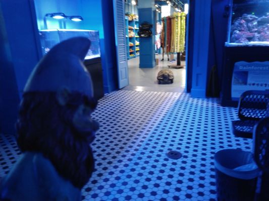 BLUE ZOO AQUARIUM BATON ROUGE - Updated August 2025 - 149 Photos & 29 ...