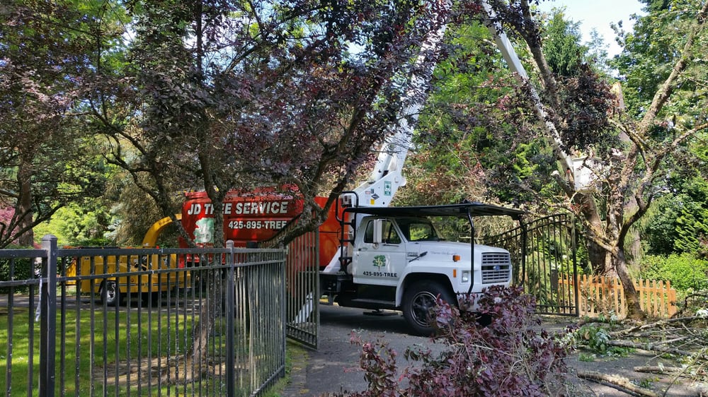 JD TREE SERVICE - Updated October 2025 - 26 Photos & 46 Reviews ...