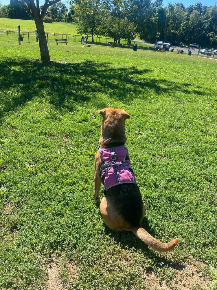 ELM RIDGE PARK - 27 Photos & 14 Reviews - 376-418 Elm St, Rocky Hill ...