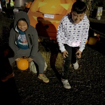 STALKER FARMS - Updated December 2025 - 51 Photos & 104 Reviews - 8705 ...