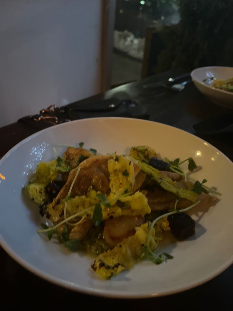 THE BEECH TREE - Updated December 2025 - 40 Photos & 62 Reviews - 924 ...