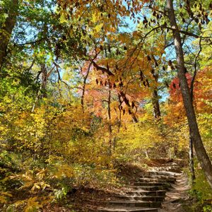 RIVER BUM RAFTING - Updated December 2025 - 121 N Columbia Ave, Oglesby ...