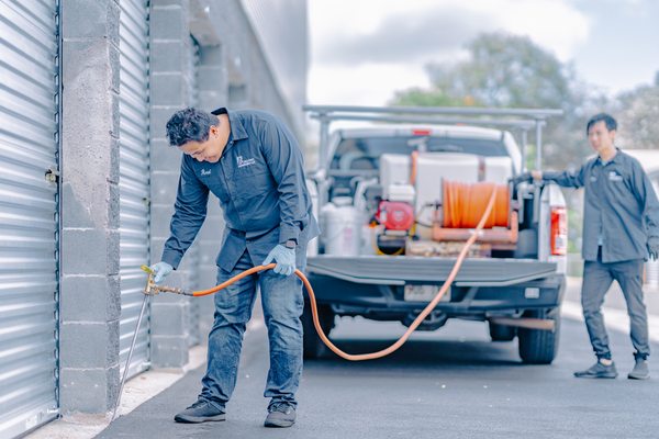 ABLE PEST MANAGEMENT - Updated December 2025 - 54 Photos & 76 Reviews ...