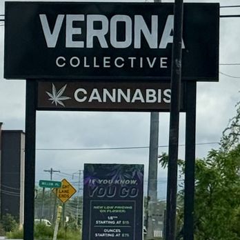 VERONA COLLECTIVE - Updated January 2026 - 12 Photos - 5250 Willow Pl ...