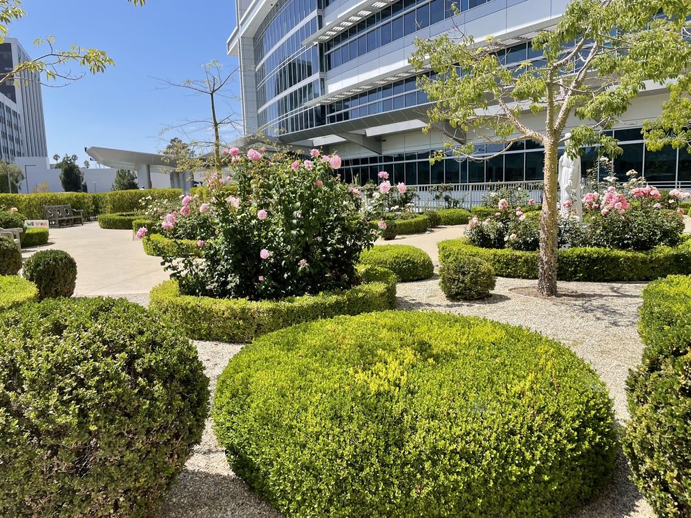 ST. JOHN’S WELL CHILD AND FAMILY CENTER WARNER TRAYNHAM - Updated September 2025 - 17 Reviews ...