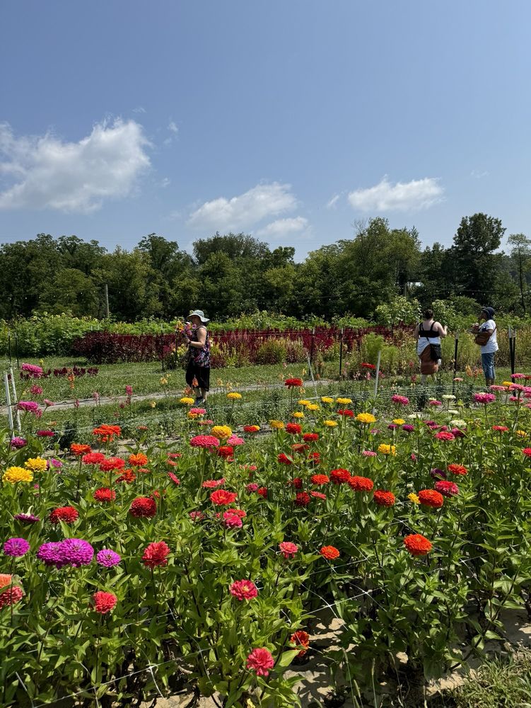 WILSON’S ORCHARD - Updated September 2025 - 121 Photos & 58 Reviews ...