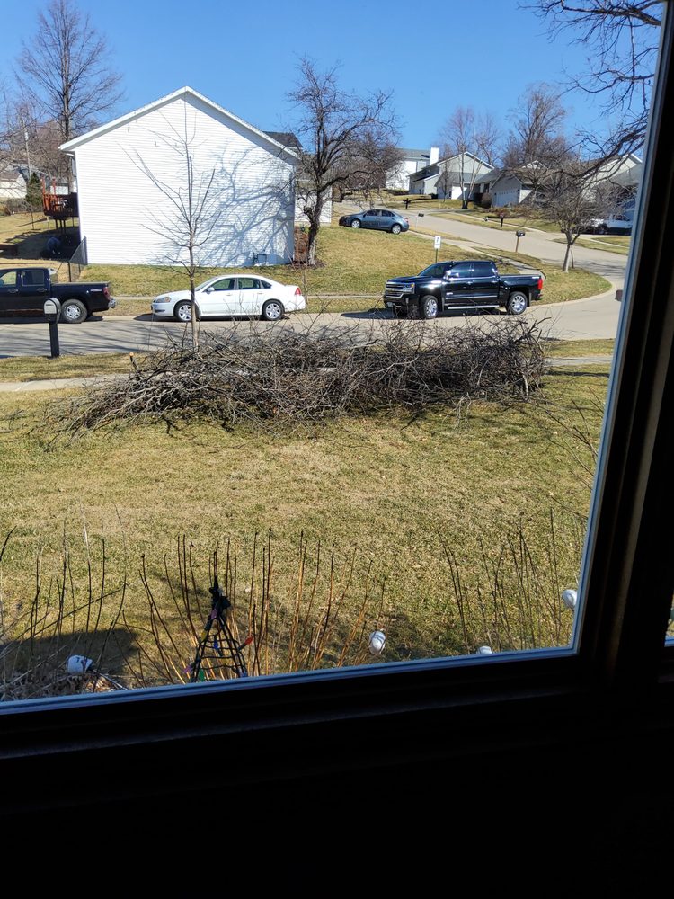 JOHNSON TREE SERVICE - Updated June 2025 - 12 Photos - Cedar Rapids ...