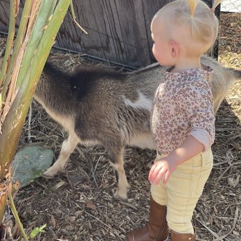 RANCHO LOS FONSECA - Updated October 2025 - 154 Photos & 49 Reviews ...