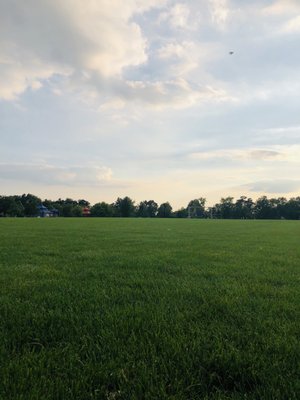 LILLIE PARK - Updated August 2024 - 51 Photos & 13 Reviews - 4200 Platt ...