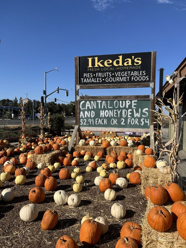 IKEDAS CALIFORNIA COUNTRY MARKET - Updated March 2025 - 462 Photos ...