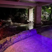 COCO PALM RESTAURANT - 1596 Photos & 1169 Reviews - Cuban - 1600 ...