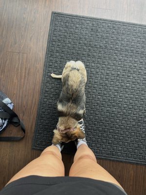 THE COMPOUND LIFTING CLUB - Updated January 2026 - 41 Photos & 31 ...