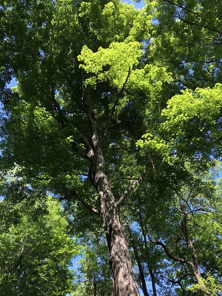 FORT DUFFIELD PARK & HISTORIC SITE - Updated April 2024 - 167 Photos ...