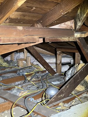 NEO ATTIC SOLUTIONS - Updated December 2025 - 173 Photos & 55 Reviews ...