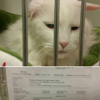 CLEVELAND ANIMAL PROTECTIVE LEAGUE - Updated April 2025 - 79 Photos ...