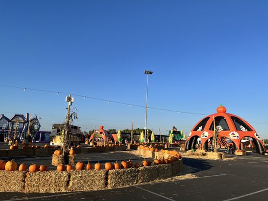 SEASONAL ADVENTURES PUMPKIN PATCH AND CHRISTMAS TREES - Updated October ...