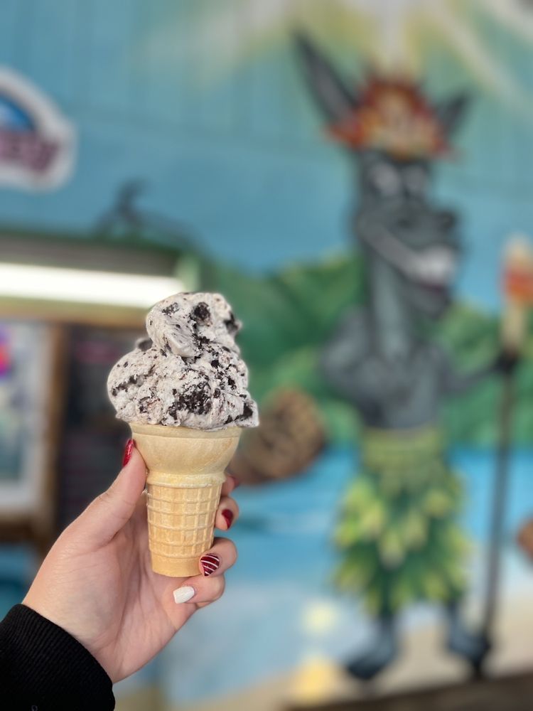 THE FAT DONKEY ICE CREAM & FINE DESSERTS - Updated May 2024 - 241 ...