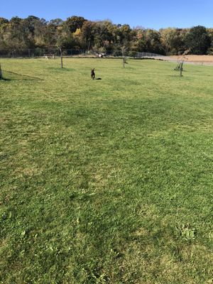 RIVER ROAD DOG PARK - Updated August 2025 - 6253 W River Rd NW ...