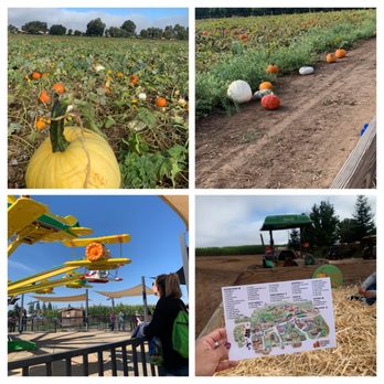 BISHOP’S PUMPKIN FARM with reviews - Updated September 2024 - 972 ...