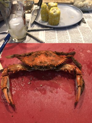 SEAFOOD IN THE BUFF - 36 Photos & 55 Reviews - 19201 Frederick Rd ...