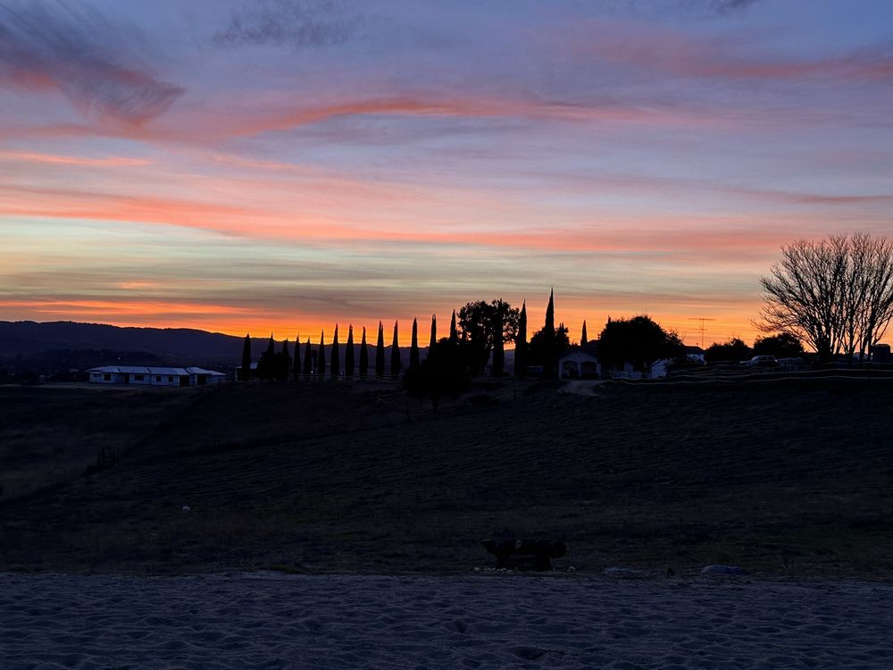 ROHAN RIDGE RANCH - Updated July 2025 - 10 Photos - 765 Concho Way ...