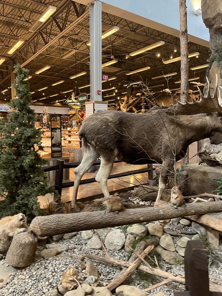 BASS PRO SHOPS - 399 Photos & 138 Reviews - 7000 Arundel Mills Cir ...