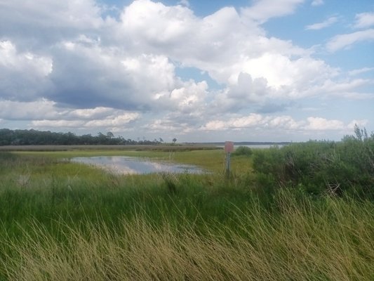 WAKULLA BEACH - Updated January 2026 - 16 Photos - 1204 Wakulla Beach ...