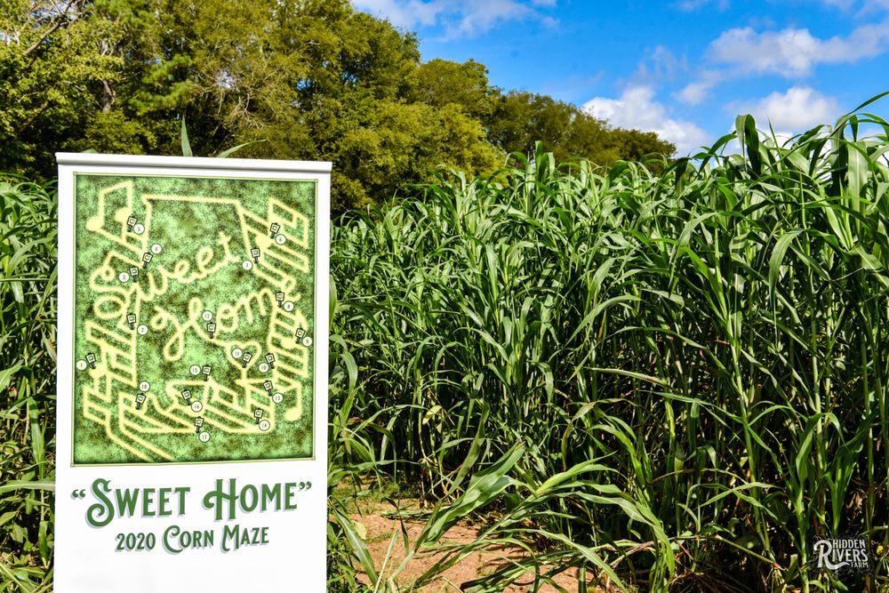 HIDDEN RIVERS FARM - Updated August 2024 - 11 Photos - 169 Goose Pond ...