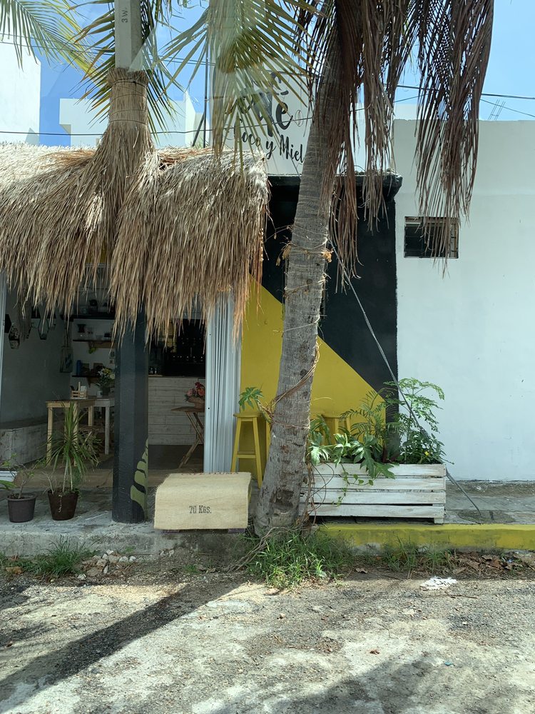 COCO Y MIEL - Updated May 2024 - Calle 48 Nte S/N, Playa del Carmen ...