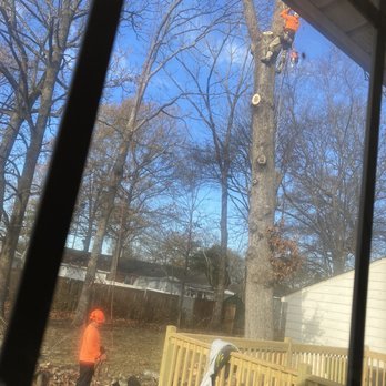 M&J TREE SERVICE - Updated December 2025 - 41 Photos & 11 Reviews ...