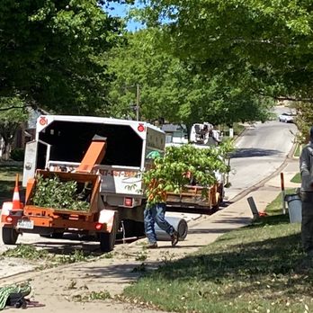 ADAM’S TREE SERVICE - Updated October 2025 - 14 Photos - 1321 Country ...