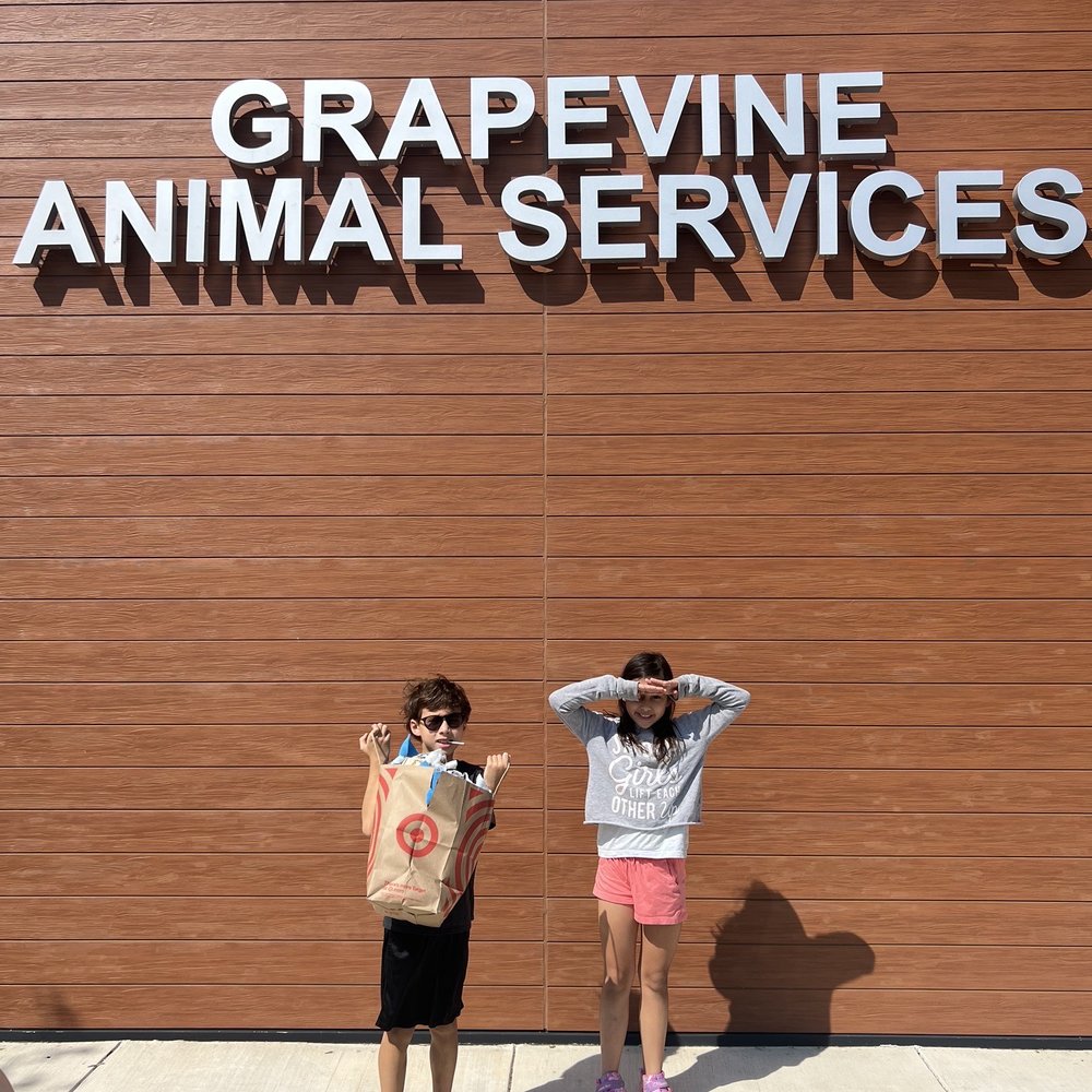 Flower Mound Animal Shelter Petfinder | Best Flower Site