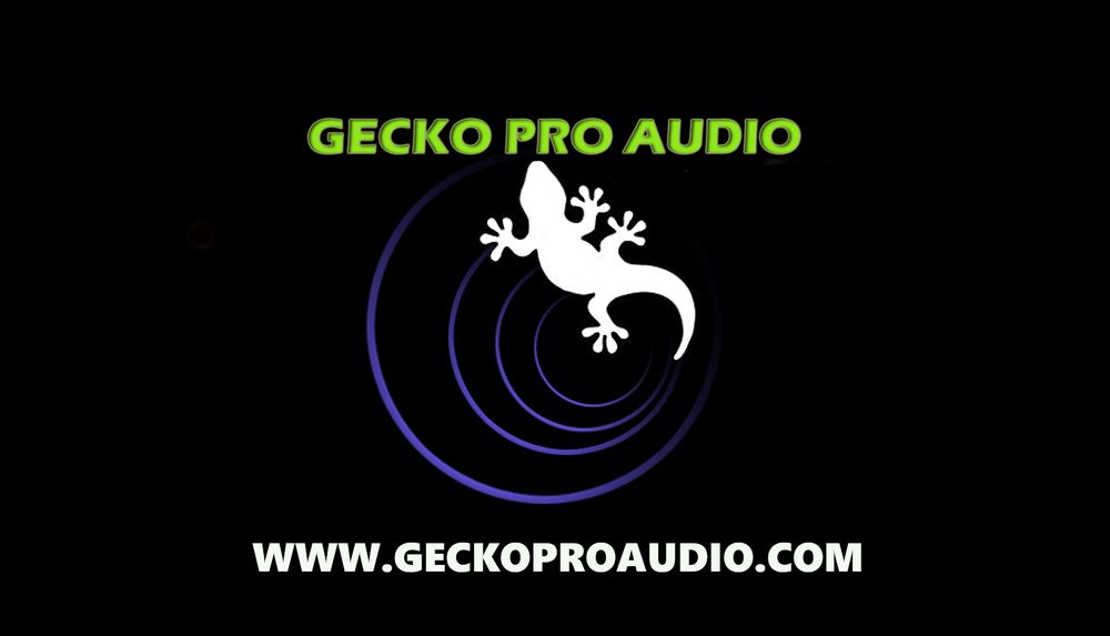 GECKO PRO AUDIO - Request a Quote - 10540 Longmeadow Dr, Dallas, Texas ...