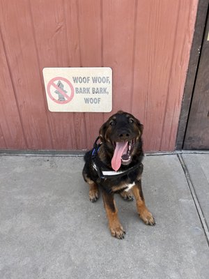 CITY OF KATY DOG PARK - Updated December 2025 - 48 Photos & 43 Reviews ...