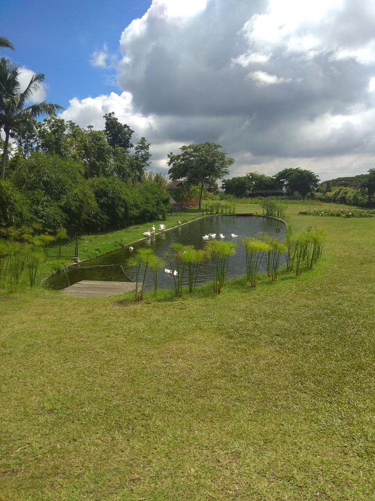ANGELFIELDS NATURE SANCTUARY - Updated June 2024 - 24 Photos - Tagaytay ...