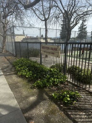 HESTER PARK - Updated May 2025 - 1578 Naglee Ave, San Jose, California ...
