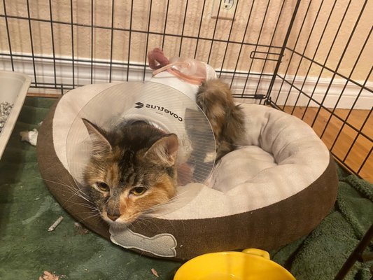 FIXNATION - Updated December 2025 - 82 Photos & 187 Reviews - 21200 ...