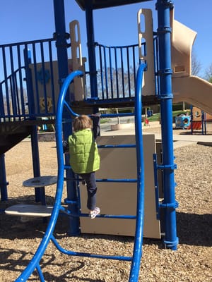 HAMILTON POOL - Updated July 2025 - 36 Photos & 29 Reviews - 203 El ...