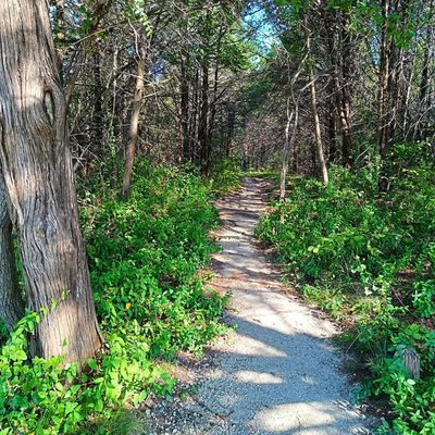 BONHAM STATE PARK - Updated March 2025 - 16 Photos & 15 Reviews - 1363 ...